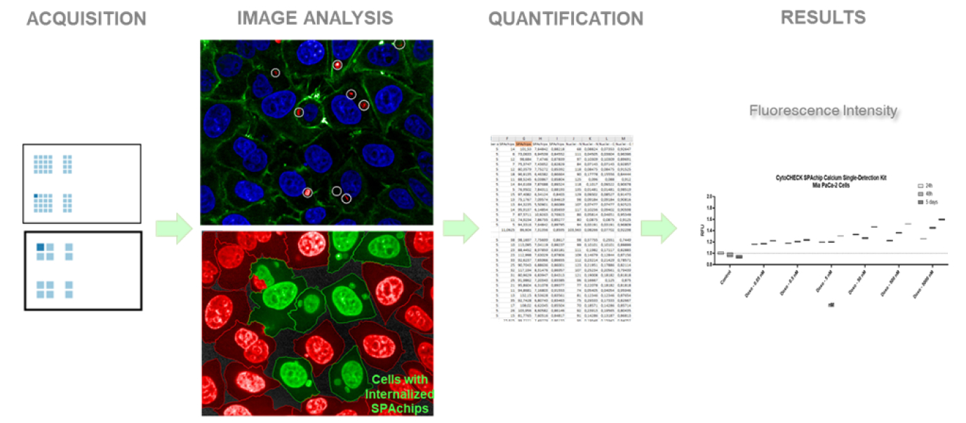 CytoCHECK SPAchip® Calcium Single-Detection Kit - a4cell
