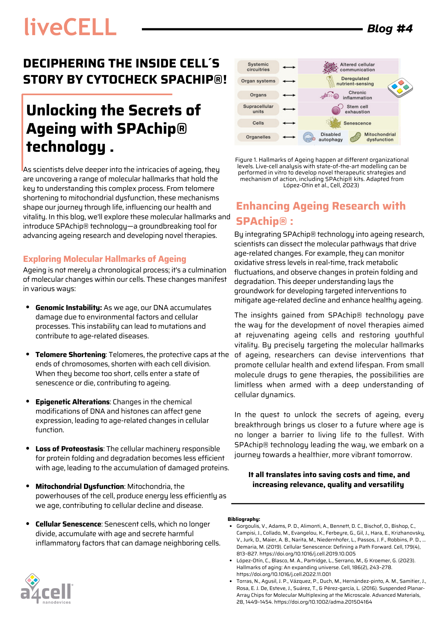 A4liveCell Blog#4: "Unlocking the Secrets of Ageing with SPAchip® technology." - a4cell
